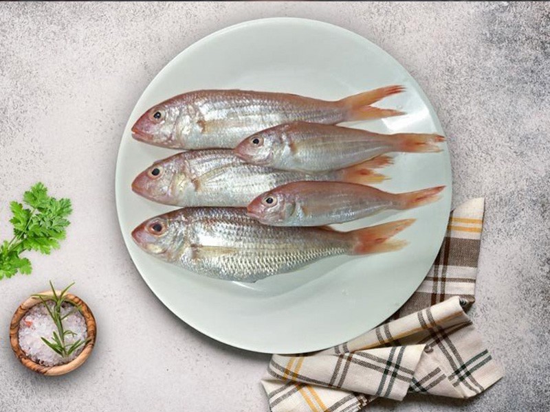 Fresh Today - Queen Poa/Red Poya Small (ছোট সুন্দরি পোয়া মাছ)