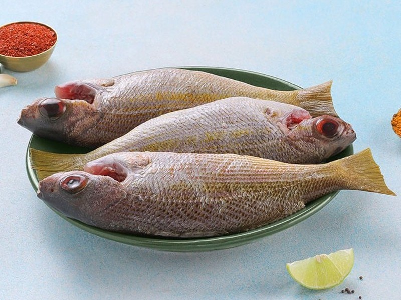 Fresh Today - Sea Lal Poa Fish Belly Clean & Dressed.