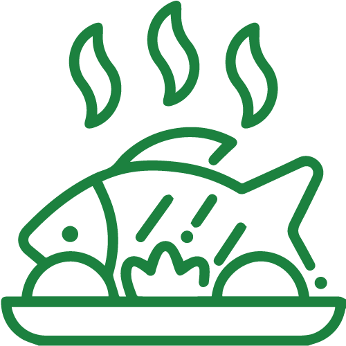 Fresh Today - Combo pack