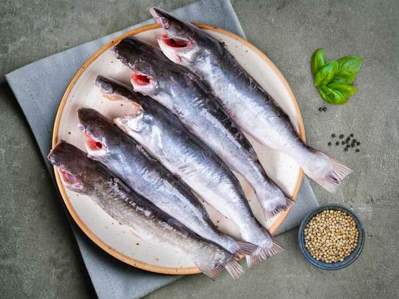 Fresh Today - Sea Rita Fish Clean & Dressed.