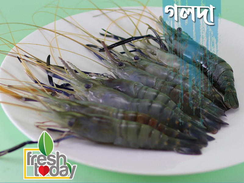 Fresh Today - Galda Prawn ( নদীর গলদা চিংড়ি)