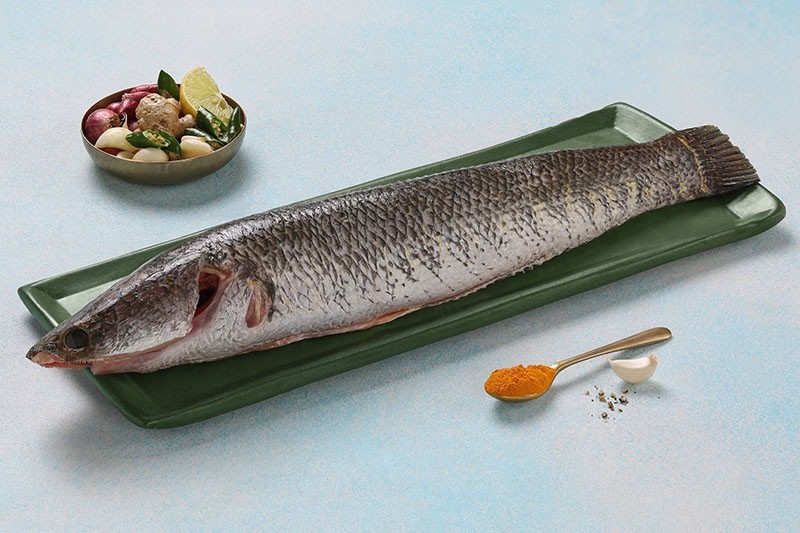 Fresh Today - Deshi Shol Fish Whole (দেশী শৈাল মাছ আস্ত)