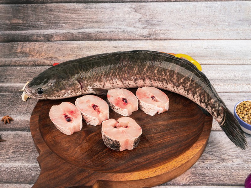 Fresh Today - Deshi Shol Fish Whole (দেশী শৈাল মাছ আস্ত)