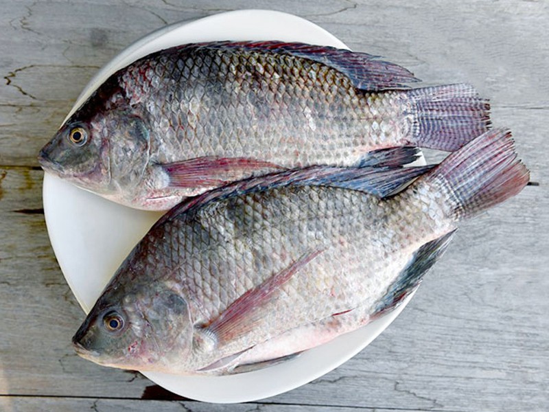 Fresh Today - Deshi Telapia Fish (দেশী তেলাপিয়া মাছ)