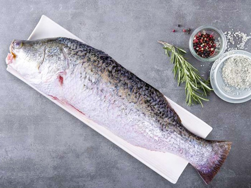 Fresh Today - River Koral Fish Whole (নদীর কোরাল মাছ )