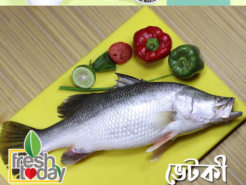 Fresh Today - River Koral Fish Whole (নদীর কোরাল মাছ )