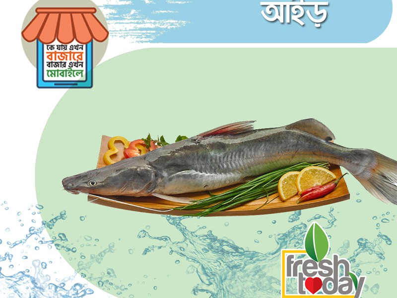 Fresh Today - River Ayer Fish whole (নদীর আইড় মাছ)