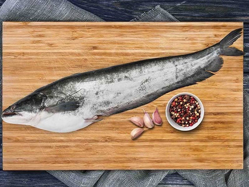 Fresh Today - Biler Boal Fish Whole (বিলের বোয়াল মাছ আস্ত)