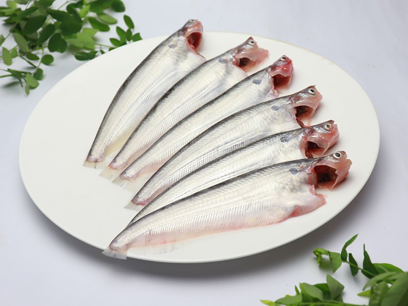 Fresh Today - River Pabda Fish (নদীর পাবদা মাছ)