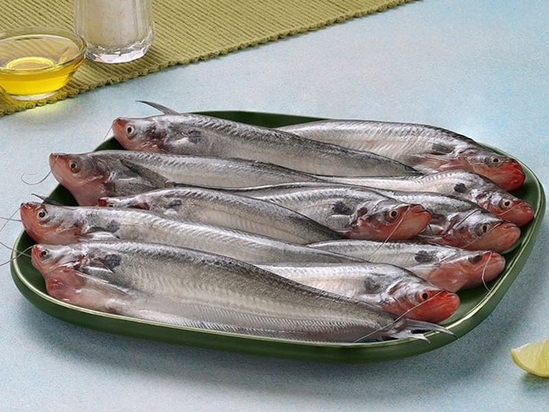 Fresh Today - River Pabda Fish (নদীর পাবদা মাছ)