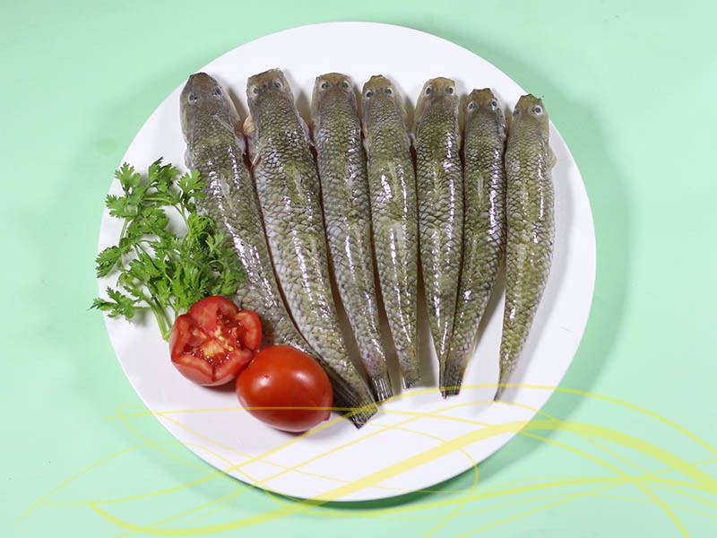 Fresh Today - River Baila Fish Whole (নদীর বাইলা মাছ)