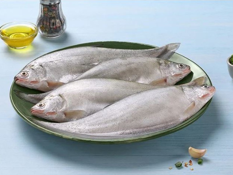 Fresh Today - Deshi Foli Fish Whole (দেশী ফলি মাছ আস্ত)