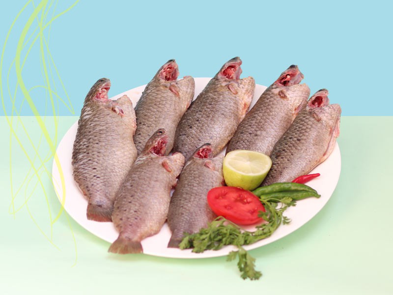 Fresh Today - Fresh Koi Fish Whole (ফ্রেশ কৈ মাছ)
