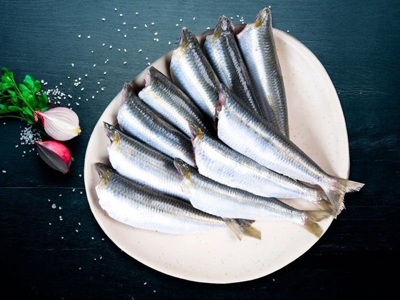 Fresh Today - Sardin Fish Whole (সামুদ্রিক সার্ডিন)