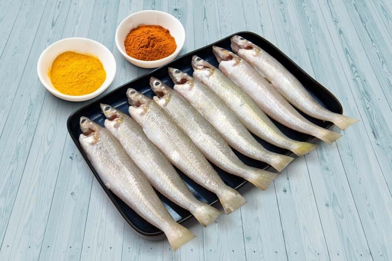 Fresh Today - River Tular Dandi Fish (নদীর তুলের ডান্ডি মাছ)