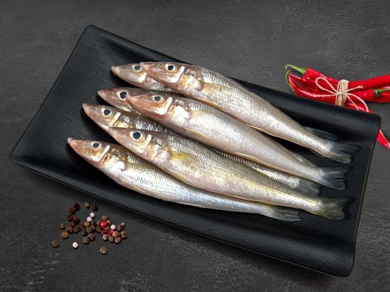 Fresh Today - River Tular Dandi Fish (নদীর তুলের ডান্ডি মাছ)