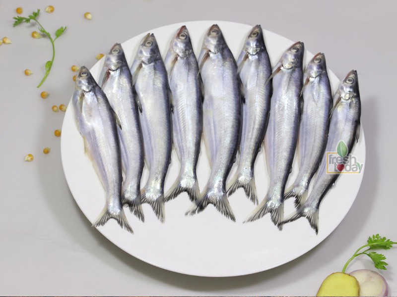 Fresh Today - River Basa Fish (নদীর ঘাউড়া মাছ)