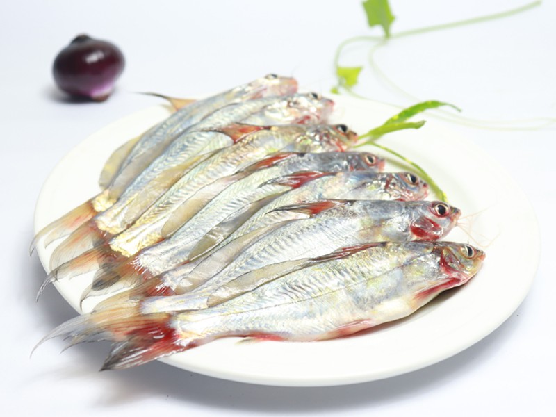 Fresh Today - River Gulsha Tengra Fish (Medium Size Whole) (নদীর গুলশা ...