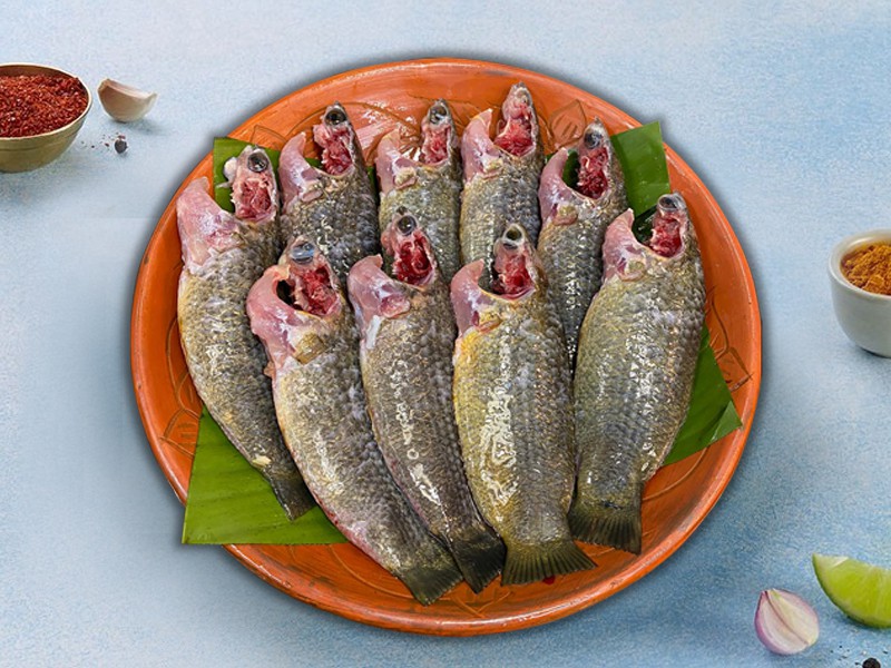 Fresh Today - Deshi Koi Fish Ready To Cook (Size: Regular)