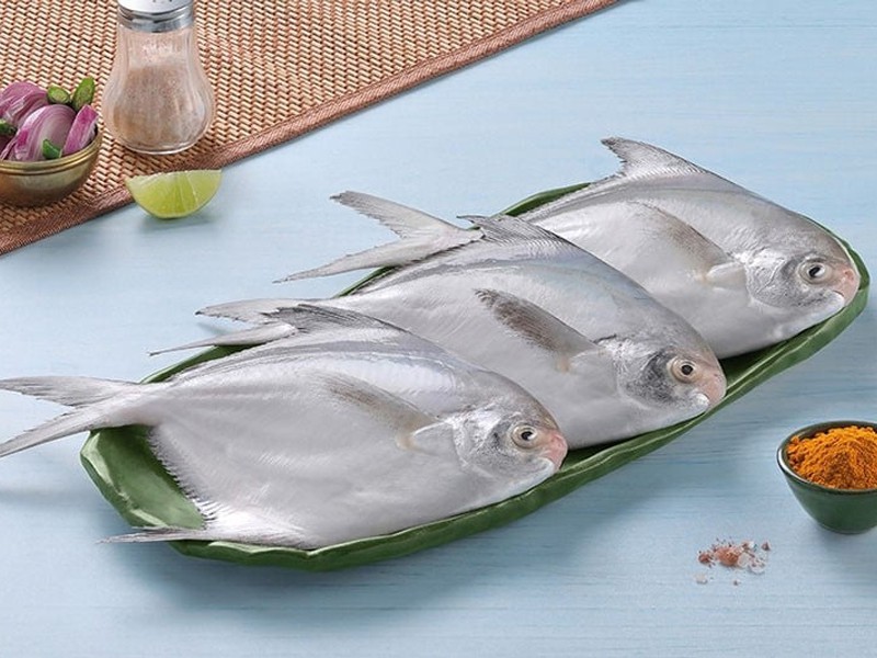 Fresh Today - Chemical free fish, seafood, chicken and meat. Fresh ...