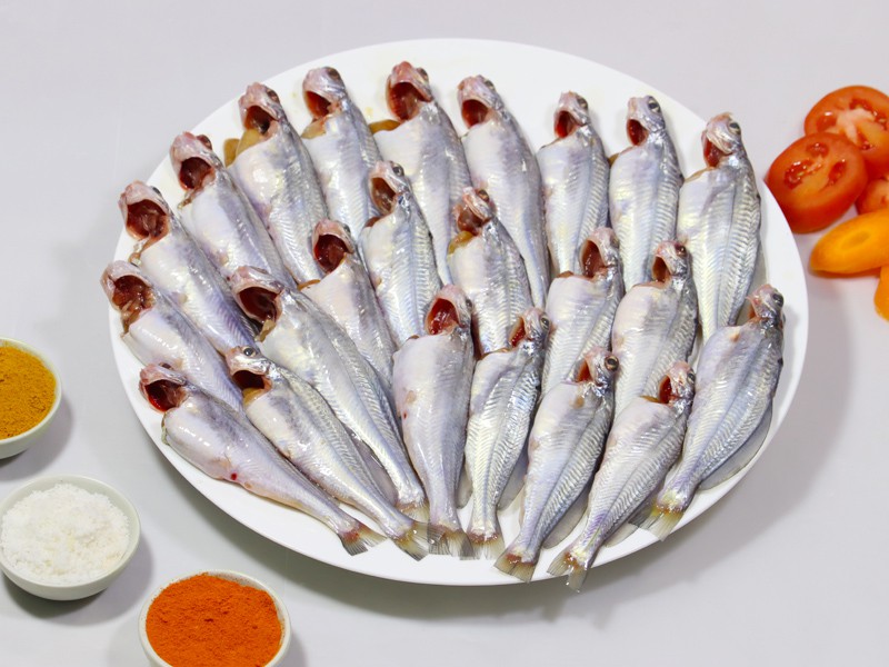 Fresh Today - Chemical free fish, seafood, chicken and meat. Fresh ...