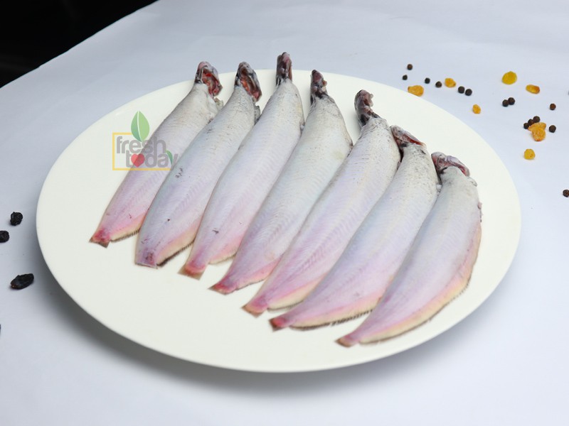 Fresh Today - Chemical free fish, seafood, chicken and meat. Fresh ...